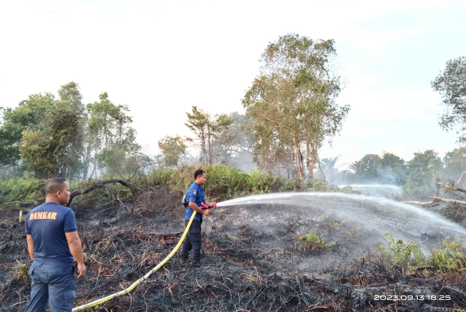Kebakaran Lahan Gambut Kembali Terjadi di Aceh Barat